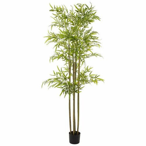 Nobilis Marco Plants Искусственное растение Бамбук H180, 1485 листьев