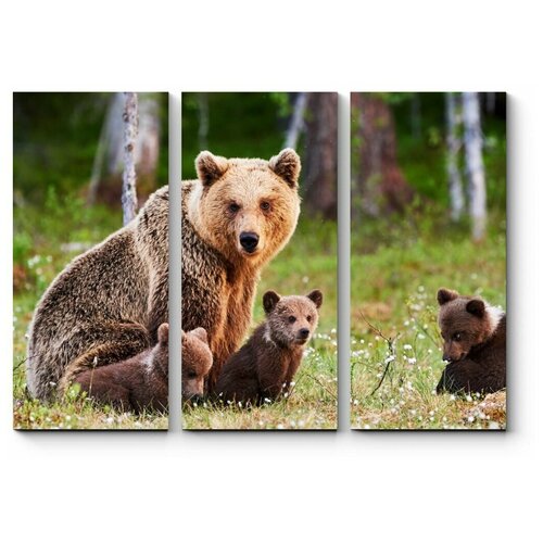 Модульная картина Семья очаровательных медведей 100x72