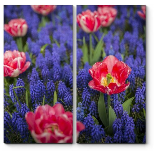 Модульная картина Цветение красок весны 70x70