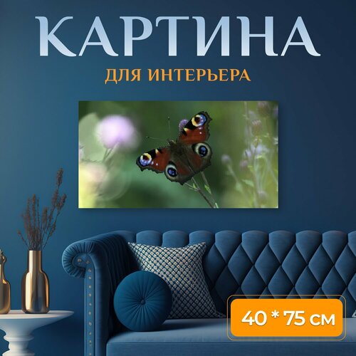 Картина на холсте "Бабочка, крылья бабочки, насекомое" на подрамнике 75х40 см. для интерьера