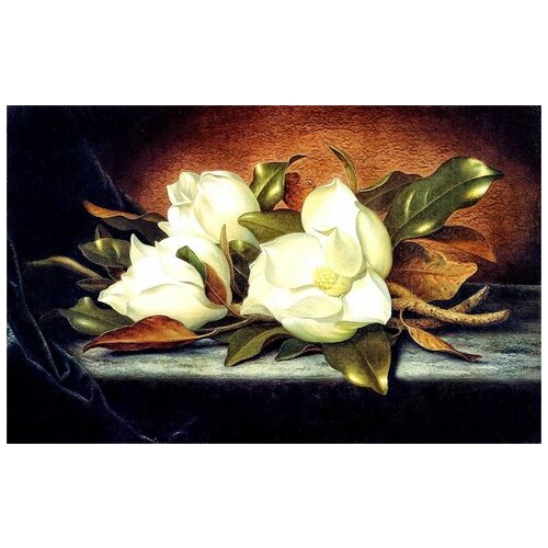 Постер на холсте Магнолия (Magnolia) №3 63см. x 40см.