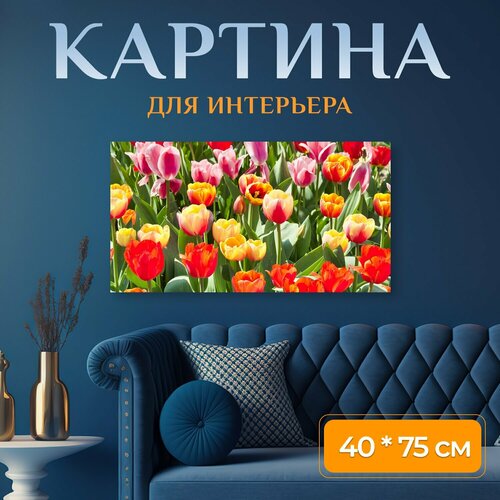 Картина на холсте "Тюльпаны, цветущий, весна" на подрамнике 75х40 см. для интерьера