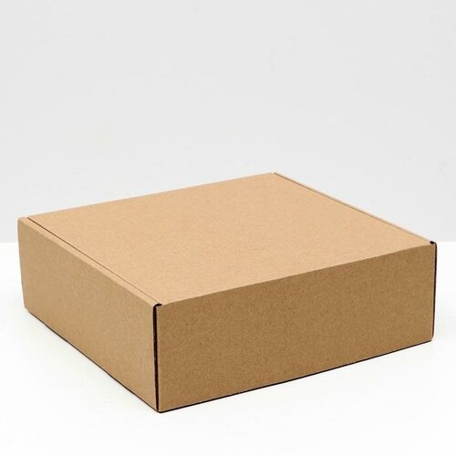 Коробка самосборная, крафт, 24 х 23 х 8 см 5 шт