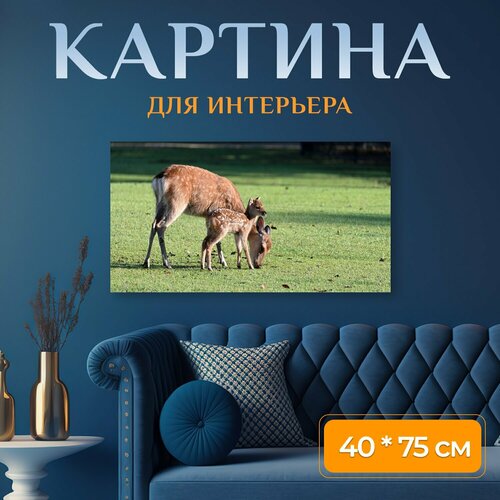 Картина на холсте "Олень, родитель ребенок, утро" на подрамнике 75х40 см. для интерьера