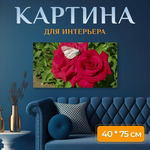 Картина на холсте "Бабочка, цветок, роза" на подрамнике 75х40 см. для интерьера