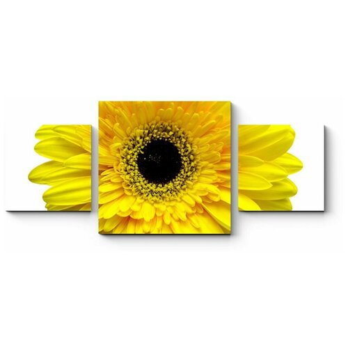 Модульная картина Солнечная гербера 140x60