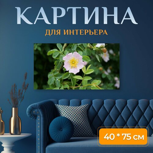 Картина на холсте "Весна, цветок, капля" на подрамнике 75х40 см. для интерьера
