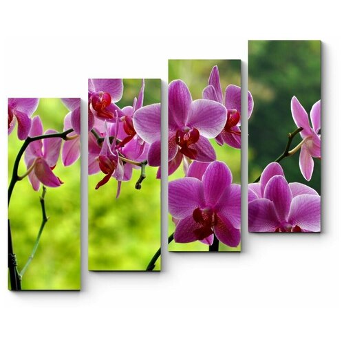 Модульная картина Неподражаемые орхидеи 140x121
