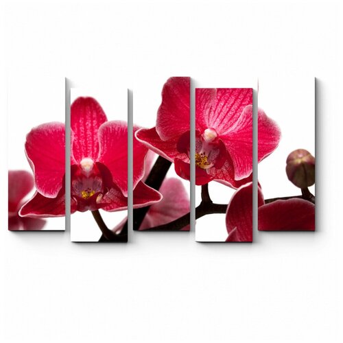 Модульная картина Магия орхидей 180x104