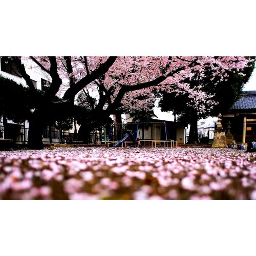 Картина на холсте 60x110 LinxOne "Сакура цветочки деревья" интерьерная для дома / на стену / на кухню / с подрамником