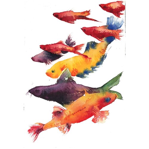 Постер / Плакат / Картина Разноцветные рыбки 50х70 см в подарочном тубусе