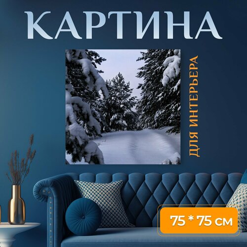 Картина на холсте "Лес, сосны, снег" на подрамнике 75х75 см. для интерьера