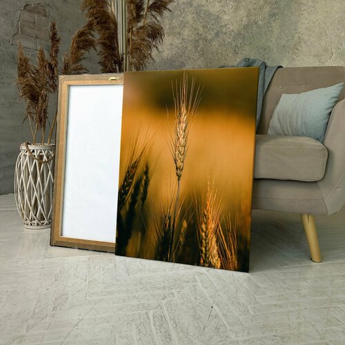 Картина на холсте (пшеница в поле рожь колосья) 40x60 см/для интерьера/в комнату/на стену/в подарок