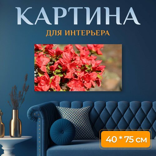 Картина на холсте "Азалия, рододендрон, цветение" на подрамнике 75х40 см. для интерьера