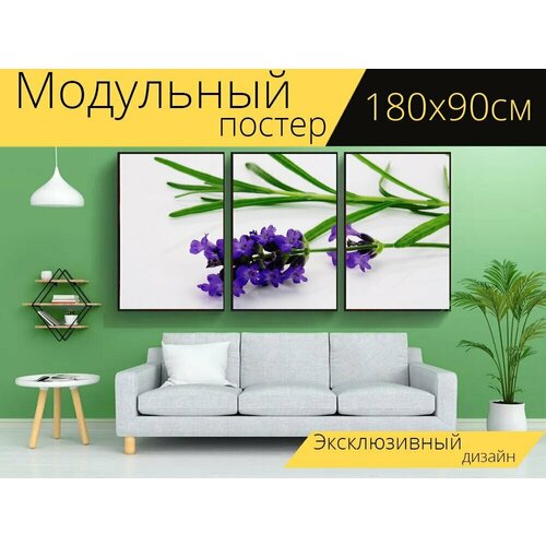 Модульный постер "Лаванда, цветок, фиолетовый" 180 x 90 см. для интерьера