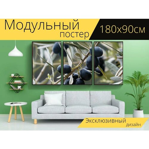 Модульный постер "Оливки, ветка оливы, фрукты" 180 x 90 см. для интерьера