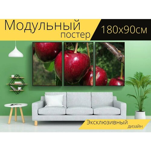 Модульный постер "Вишня, черешня, вишневое дерево" 180 x 90 см. для интерьера