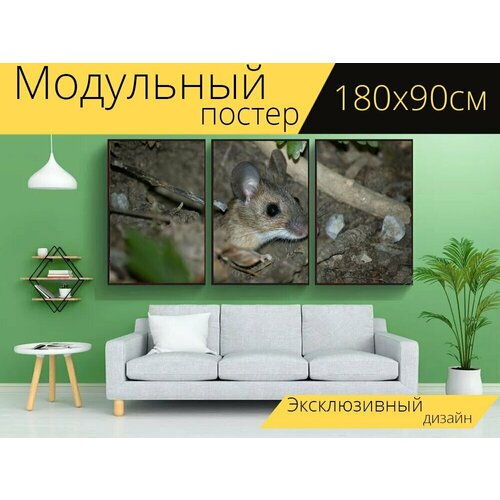 Модульный постер "Мышь, деревянная мышь, грызун" 180 x 90 см. для интерьера