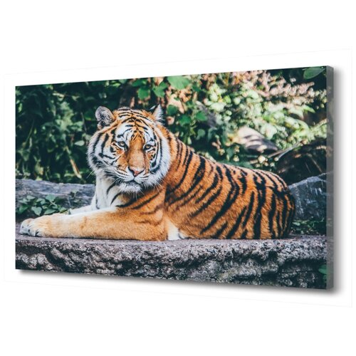Картина на холсте "Тигр" PRC-1179 (45x30см). Натуральный холст