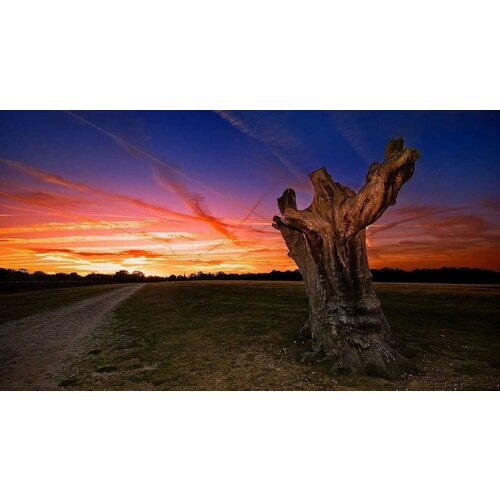 Картина на холсте 60x110 LinxOne "Небо закат поле дерево" интерьерная для дома / на стену / на кухню / с подрамником
