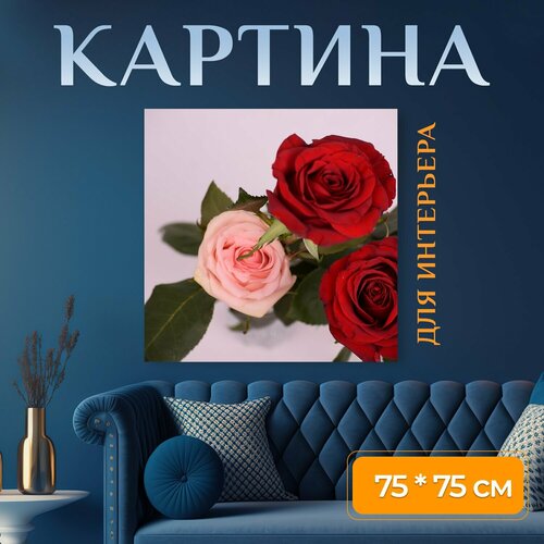 Картина на холсте "Розы, цветок, красная роза" на подрамнике 75х75 см. для интерьера