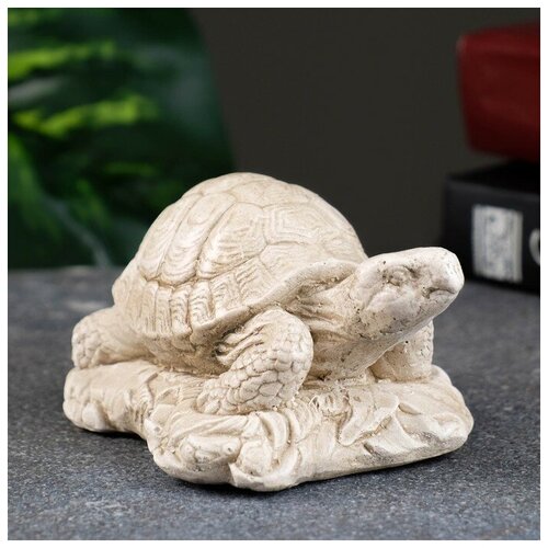 Статуэтка "Черепаха на камне" слоновая кость, 8х7х6см 7777219