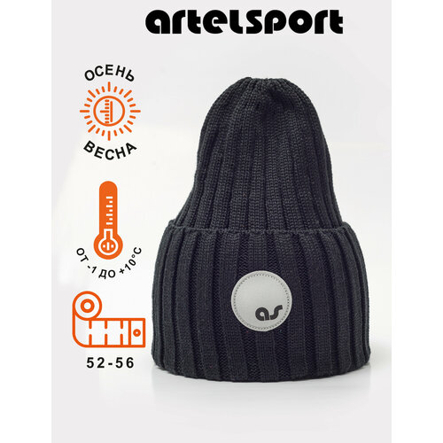 Шапка бини ARTEL Aks, размер 54, черный