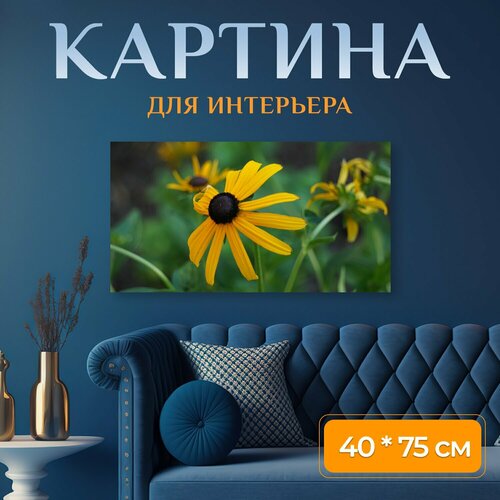 Картина на холсте "Черноглазая сьюзан, цветок, завод" на подрамнике 75х40 см. для интерьера