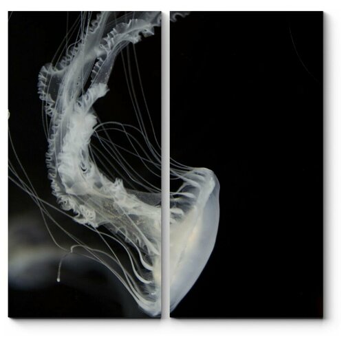 Модульная картина Белая медуза90x90