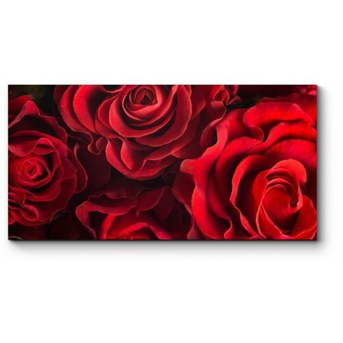 Модульная картина Бархатные розы190x95