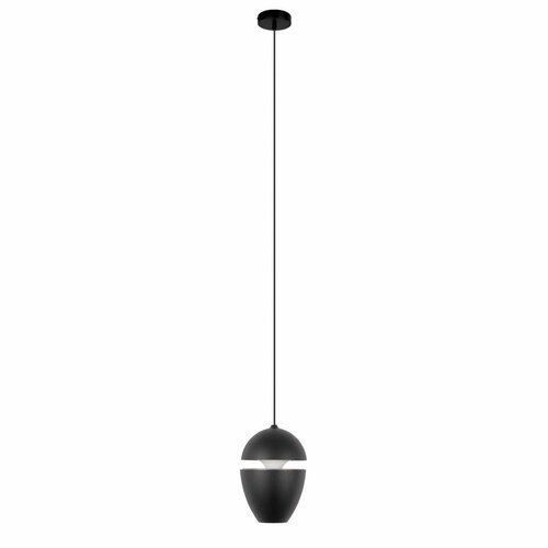 Подвесной светильник Loft IT Viterbo 10336 Black