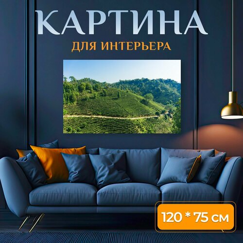 Картина на холсте "Китай, гуанси, учжоу" на подрамнике 120х75 см. для интерьера