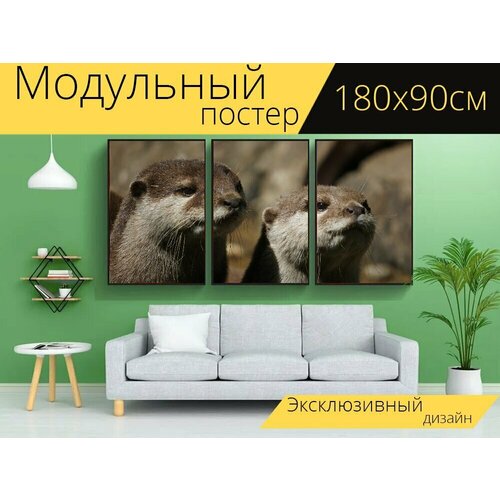 Модульный постер "Выдра, зоопарк, животное" 180 x 90 см. для интерьера