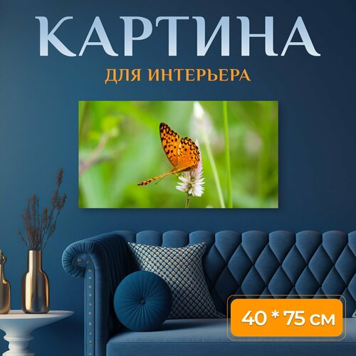 Картина на холсте "Бабочка, гусеница, природа" на подрамнике 75х40 см. для интерьера