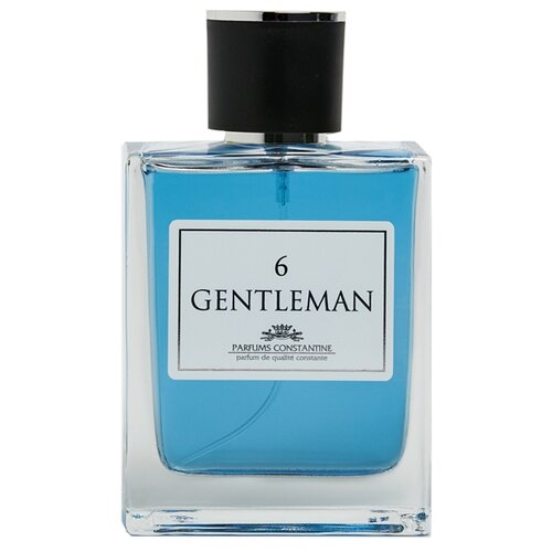 Parfums Constantine туалетная вода Gentleman №6, 100 мл, 378 г