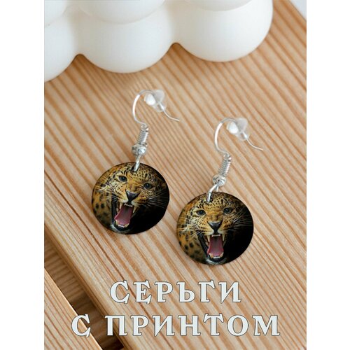 Серьги
