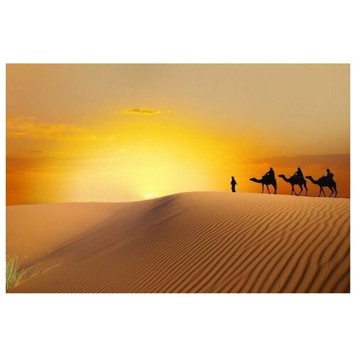 Постер на холсте Верблюды в пустыне №1 60см. x 40см.
