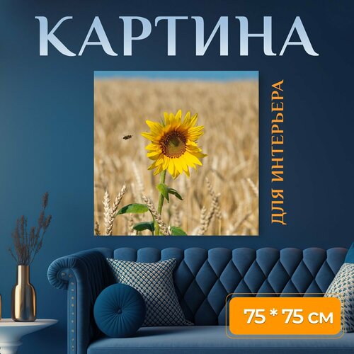 Картина на холсте "Цветок, подсолнечник, пшеница" на подрамнике 75х75 см. для интерьера