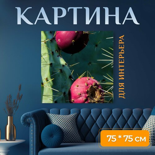 Картина на холсте "Кактус, завод, фрукты" на подрамнике 75х75 см. для интерьера