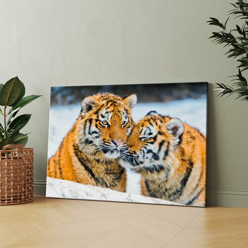 Картина на холсте (Амурский тигр - тигрица, пара тигров, уссурийский тигр, тигренок) 30x40 см. Интерьерная на стену.