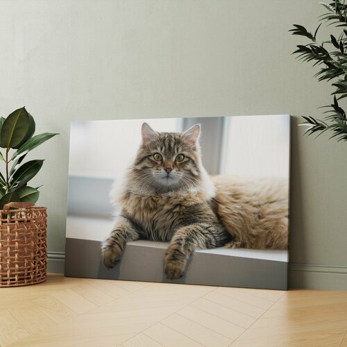 Картина на холсте "Длинношерстный кот лежит на подоконнике" 60x80 см. Интерьерная, на стену.