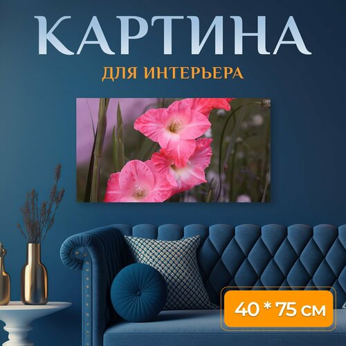 Картина на холсте "Розовый гладиолус цветок, гладиола, цветок" на подрамнике 75х40 см. для интерьера
