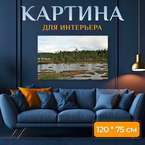 Картина на холсте "Финляндия, тайга, болото" на подрамнике 120х75 см. для интерьера