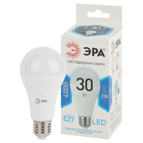 Лампа светодиодная LED A65-30W-840-E27 30Вт A65 грушевидная 4000К нейтр. бел. E27 | код. Б0048016 | Эра (20шт. в упак.)