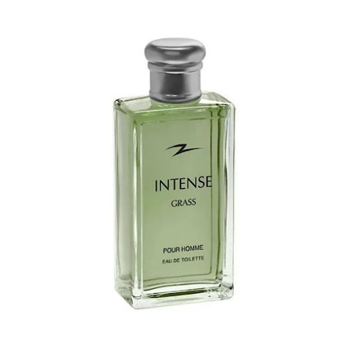 Art Parfum туалетная вода Intense Grass, 100 мл, 191 г