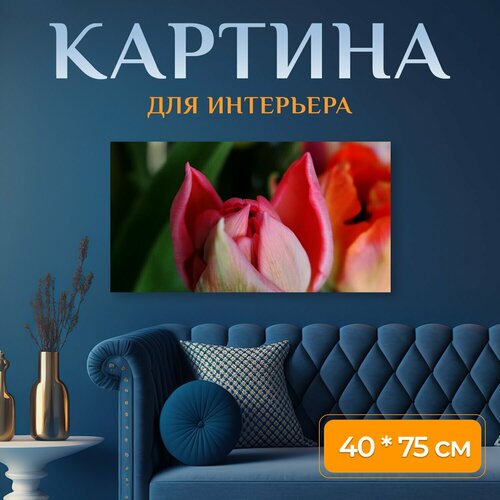Картина на холсте "Тюльпаны, цветок, завод" на подрамнике 75х40 см. для интерьера