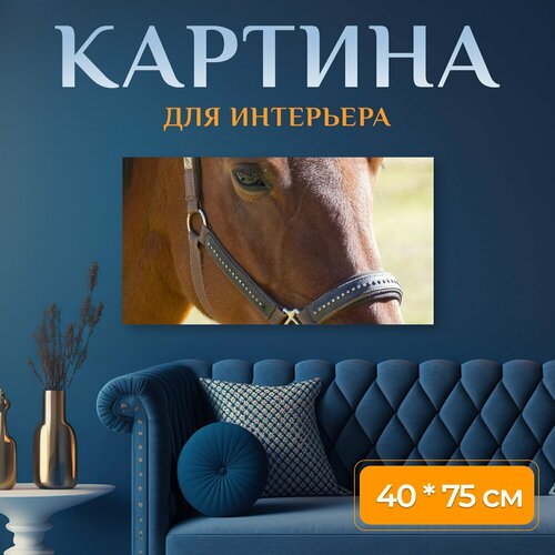 Картина на холсте "Лошадь, коричневый, лошадиная голова" на подрамнике 75х40 см. для интерьера