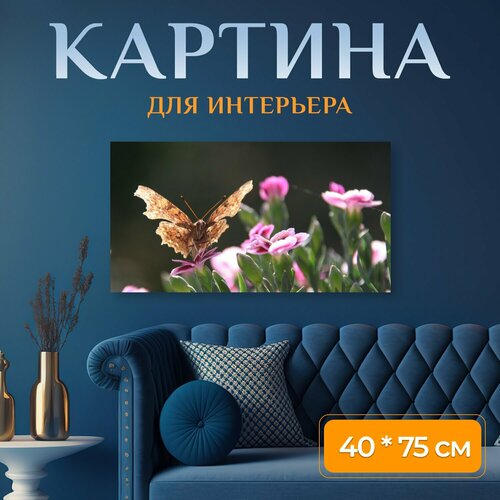 Картина на холсте "Бабочка, насекомое насекомые, крыло" на подрамнике 75х40 см. для интерьера