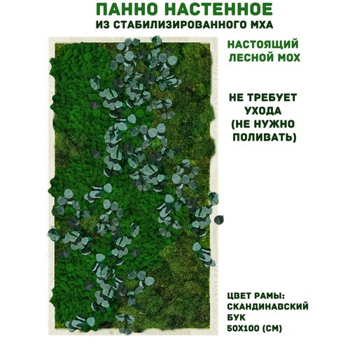 Панно из стабилизированно мха GardenGo в рамке цвета скандинавский бук, 50х100 см, цвет мха зеленый