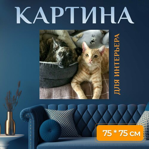 Картина на холсте "Кошка, собака, милый" на подрамнике 75х75 см. для интерьера